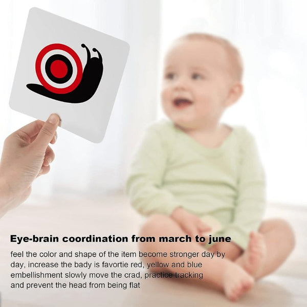 4 Sets Of Brain Visual Stimulation Flash Cards For Babies (0-36 months ...